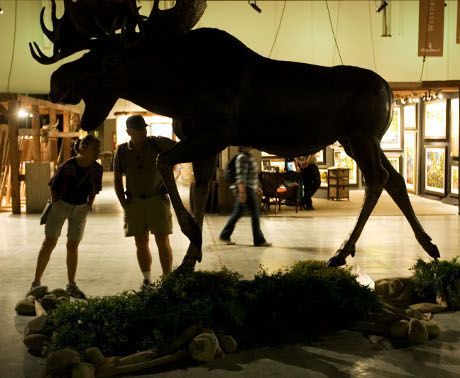 Time for wine at the Stampede | Calgary Herald