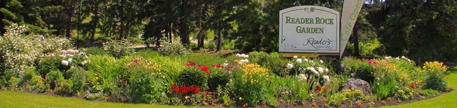 Rock On, Reader | Calgary Herald