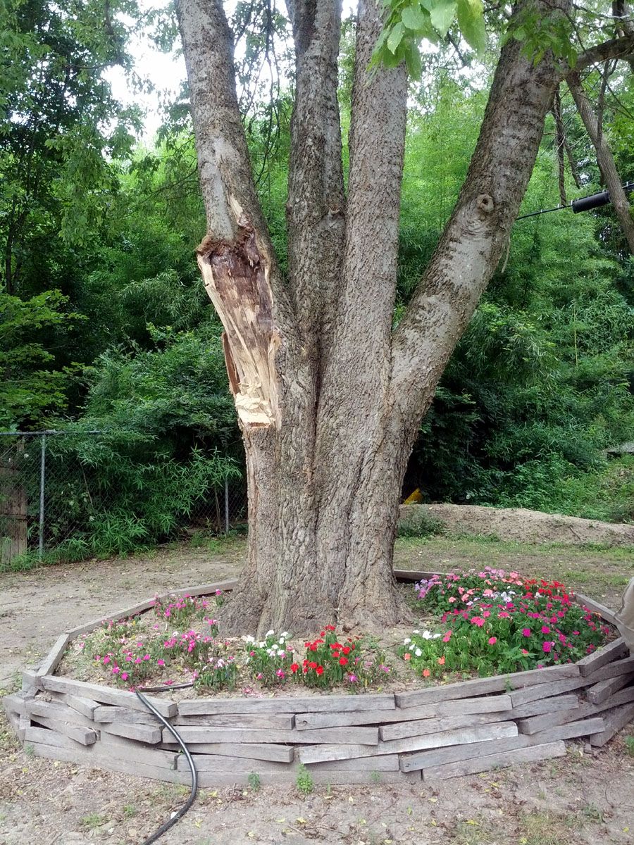 What Is Wrong with This Picture? | Calgary Herald