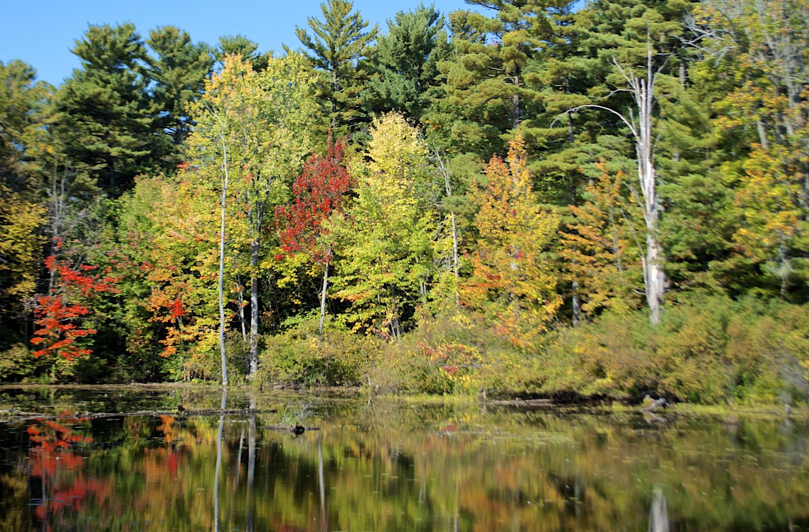 Fall in Canada's Capital | Calgary Herald