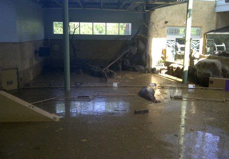 Calgary Zoo: Inside story of the June flood | Calgary Herald