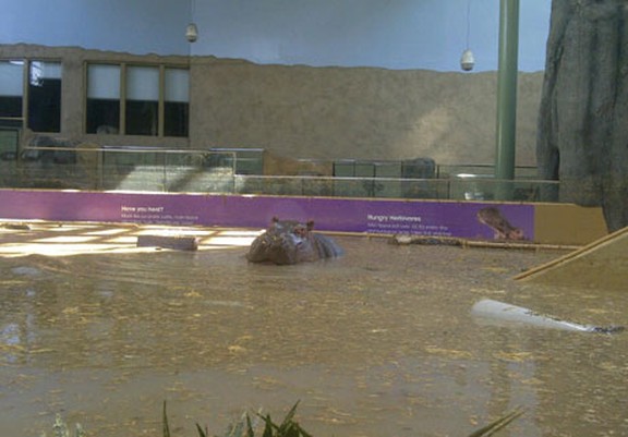 Calgary Zoo: Inside story of the June flood | Calgary Herald