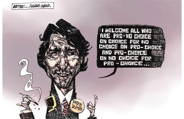 Editorial: Trudeau leaves little choice | Calgary Herald