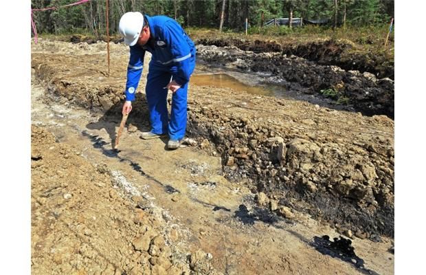 Canadian Natural applies to return to Primrose East | Calgary Herald