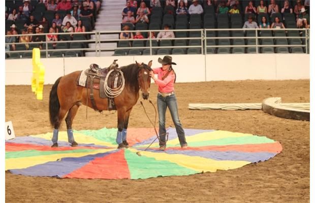 Extreme cowboy racing competition gaining popularity | Calgary Herald