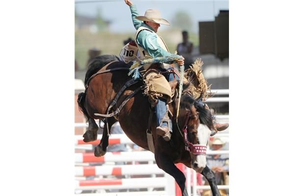 Confident Flundra claims $100,000 cheque for Stampede saddle bronc ...