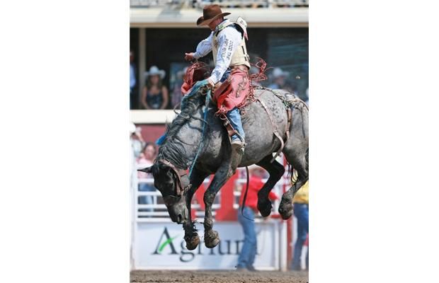 Kelts claims coveted bronze bauble after winning Daines Ranch Rodeo ...