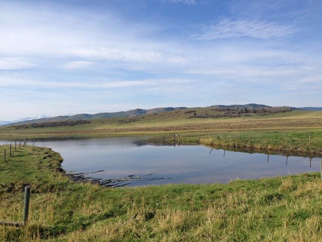 Women supporting conservation gather at OH Ranch | Calgary Herald
