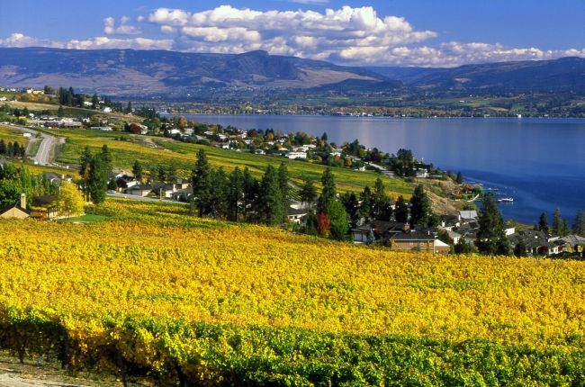 5 Things to Do in the Okanagan Besides Wine Tours | Calgary Herald