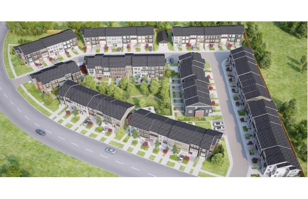 Willow project latest thoroughbred in Avi Urban's colourful stable ...