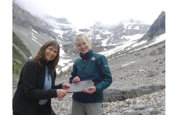 Guided hike to new Burgess Shale fossil site travels through 500 ...