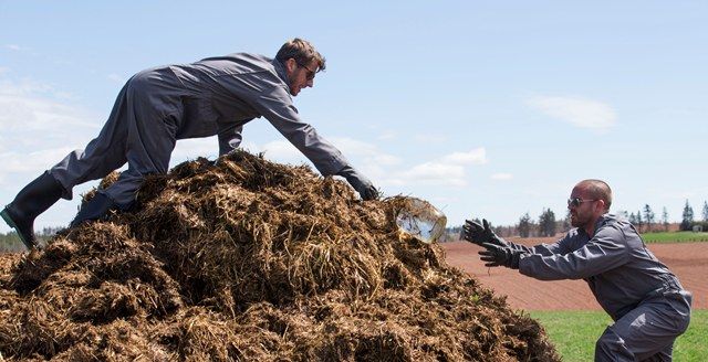 Did someone say "hot horse poop" on The Amazing Race Canada? | Calgary ...