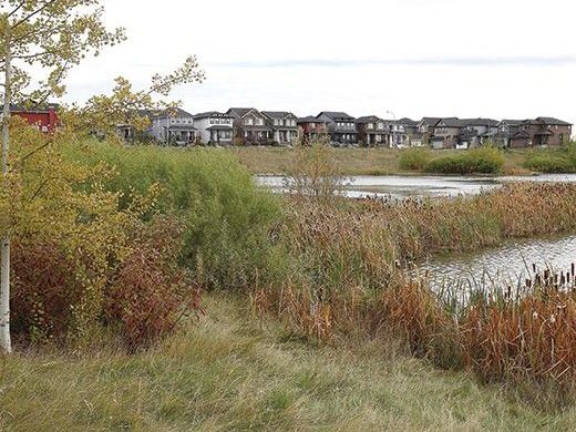 Evanston | Calgary Herald