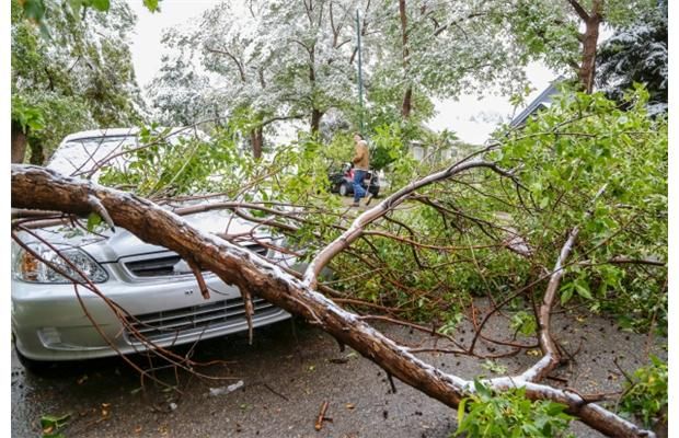 Michelle Nihei: The Horse Whispering Neuroscientist | Calgary Herald