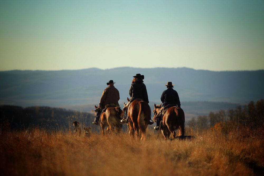 Gallery: Bar S Ranch cattle drive | Calgary Herald