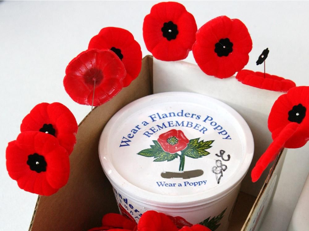 Five poppy boxes stolen in first few days of fundraiser for veterans ...