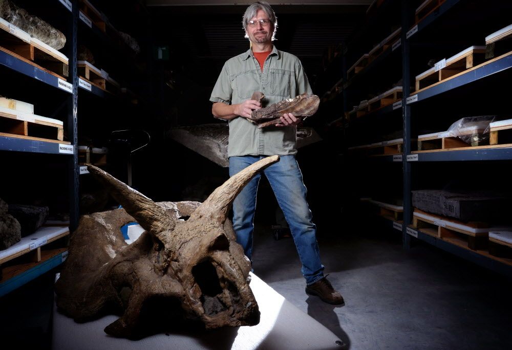 Dinosaur bone bed a real gold mine | Calgary Herald
