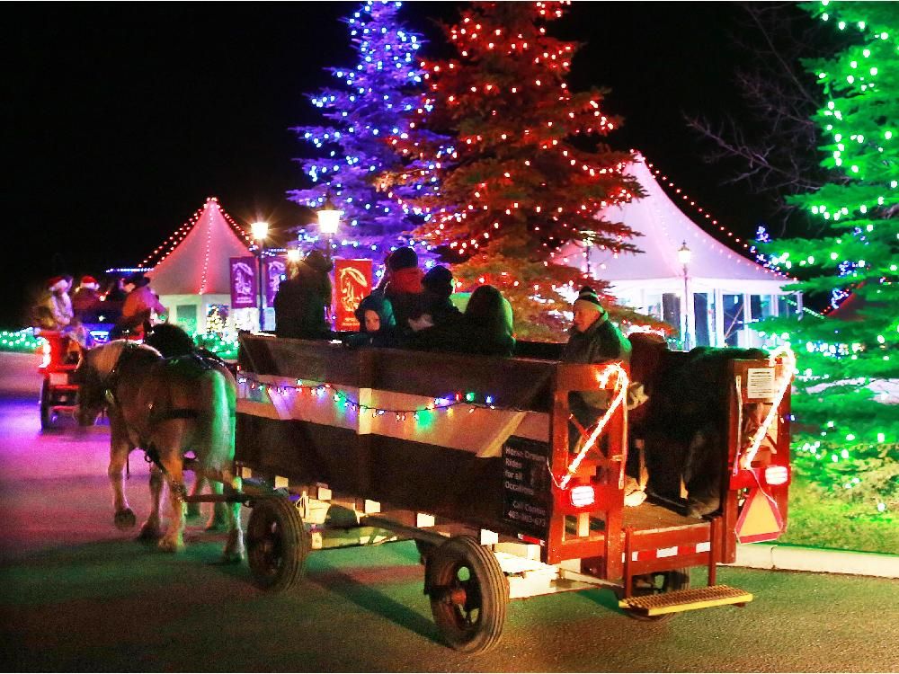 Gallery: Calgary's best christmas lights | Calgary Herald