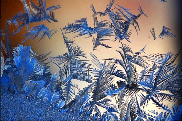 Frost advisory issued for Calgary | Calgary Herald