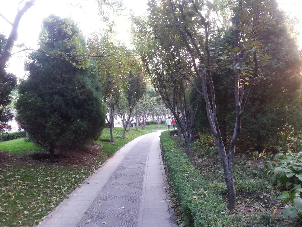 Beijing best before breakfast | Calgary Herald