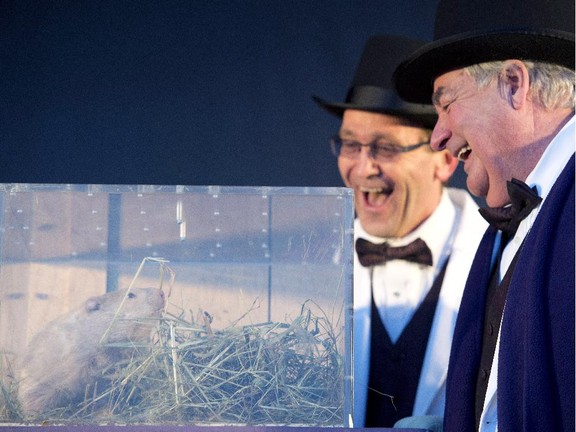 February 2 in Balzac, it's the annual Guy in a Rodent Costume Day ...