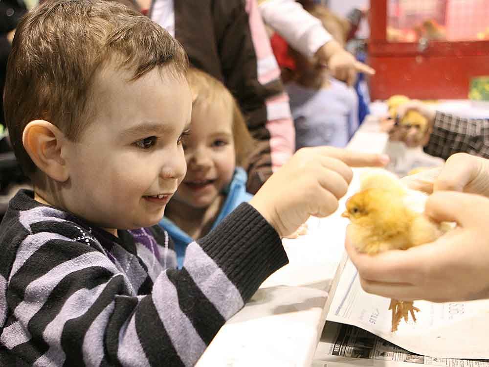 Aggie Days comes back to Stampede Park | Calgary Herald