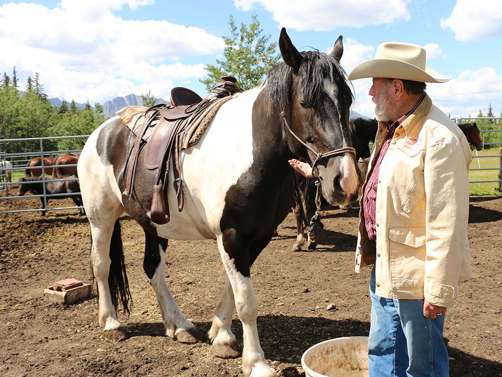 Alberta's Iconic Rafter Six Ranch re-opens in new location | Calgary Herald