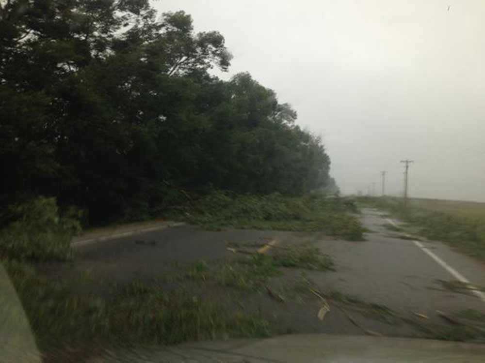 Severe thunderstorm warnings for Southern Alberta | Calgary Herald