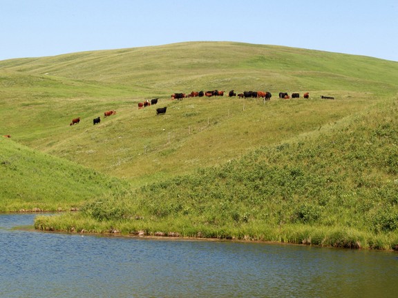 Southern Alberta ranch listed for record $42.5 million US | Calgary Herald