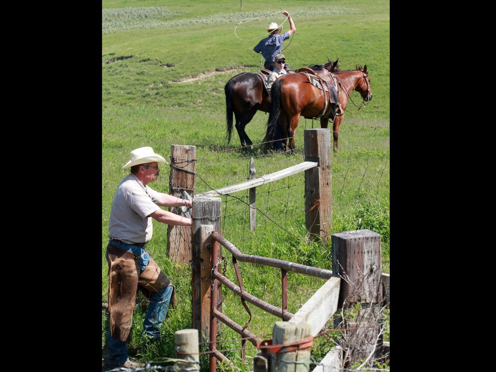 Southern Alberta ranch listed for record $42.5 million US | Calgary Herald