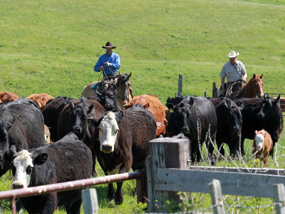 Southern Alberta ranch listed for record $42.5 million US | Calgary Herald