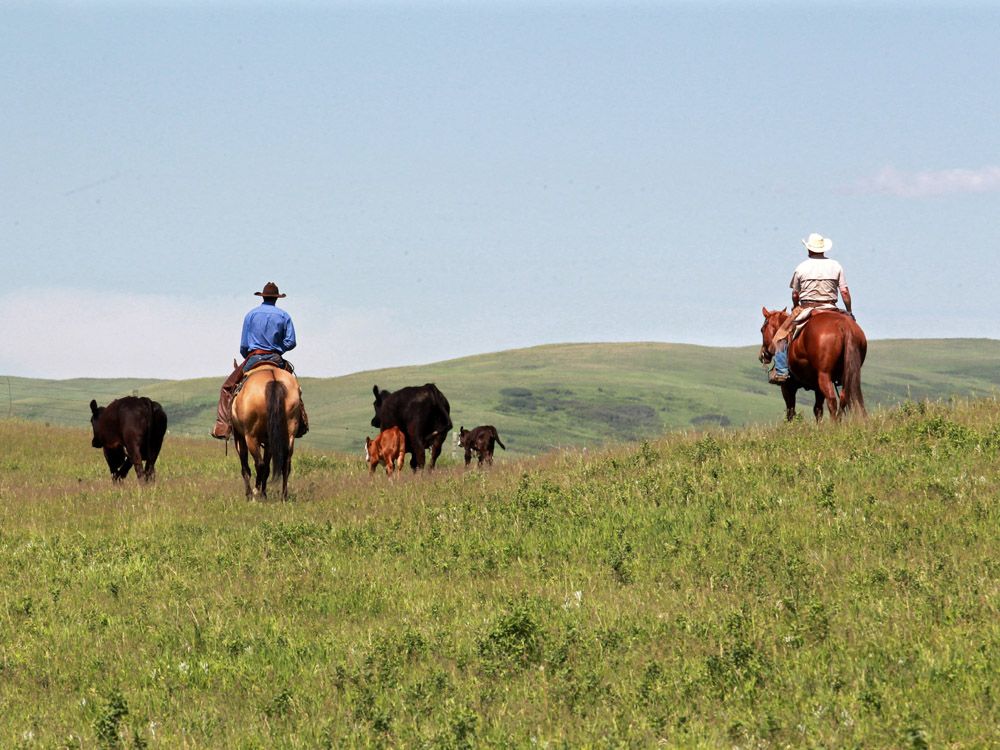 Southern Alberta ranch listed for record $42.5 million US | Calgary Herald