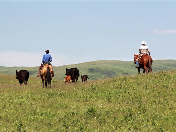 Southern Alberta ranch listed for record $42.5 million US | Calgary Herald
