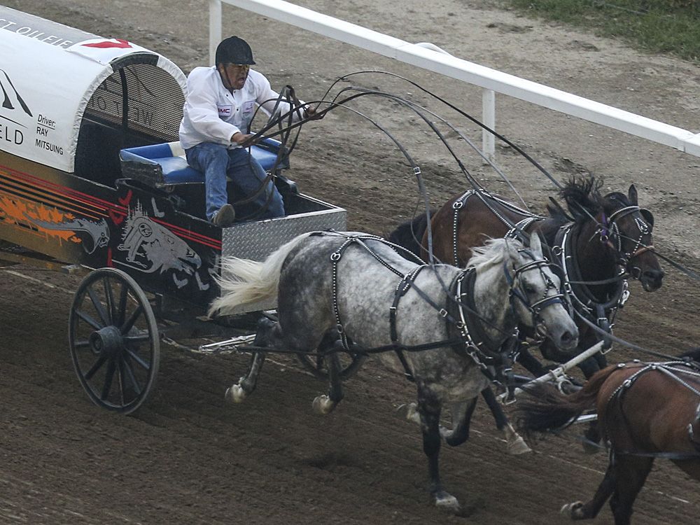 Gallery: GMC Rangeland Derby Chuck Wagon Races, Day 9 | Calgary Herald