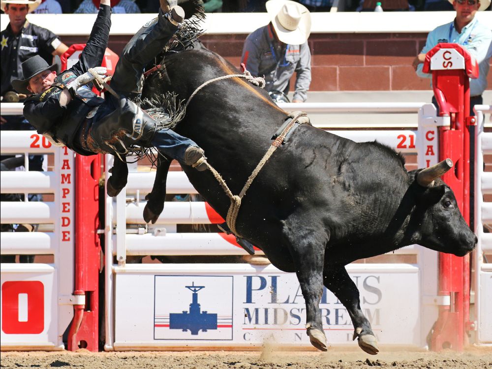 Photos: Calgary Stampede Rodeo - Day 1 | Calgary Herald