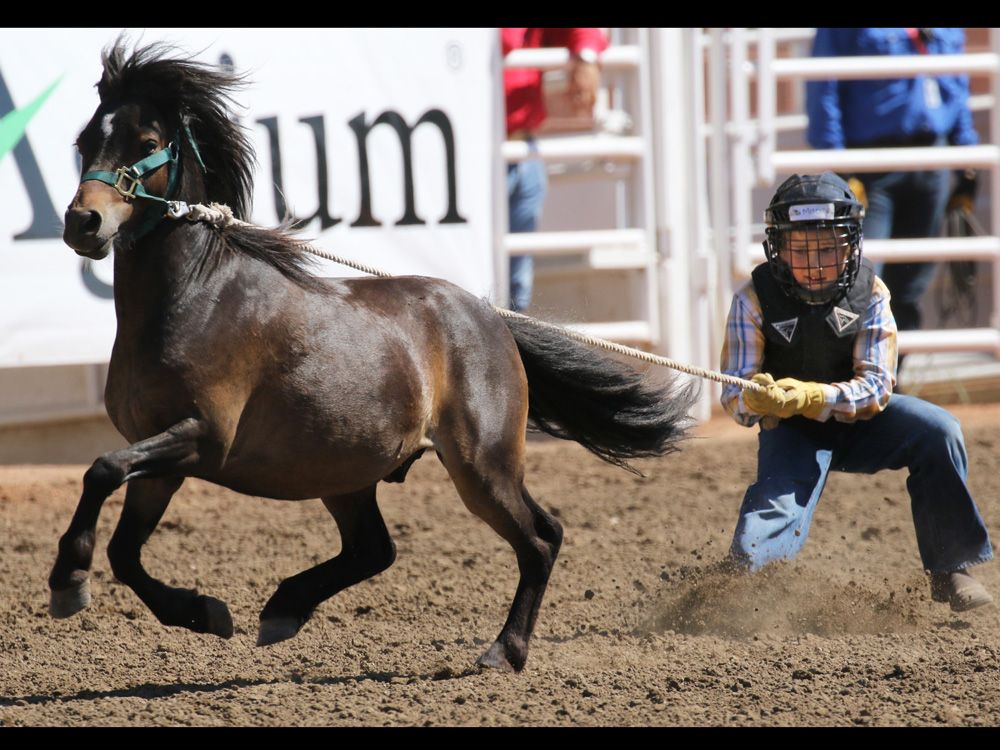 Photos: Calgary Stampede Rodeo - Day 1 | Calgary Herald