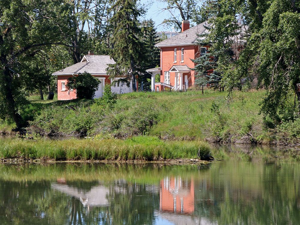 Calgary's Inglewood Bird Sanctuary reopens to the public | Calgary Herald