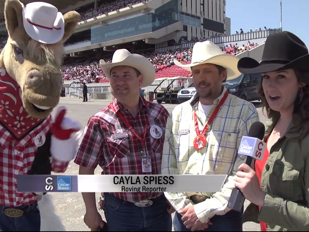 Harry the horse turns 30 | Calgary Herald