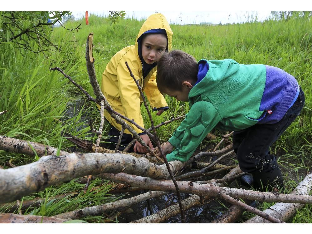 Nature kindergarten offered in Calgary | Calgary Herald