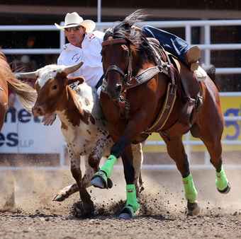 Day 7 action at the Calgary Stampede Rodeo | Calgary Herald