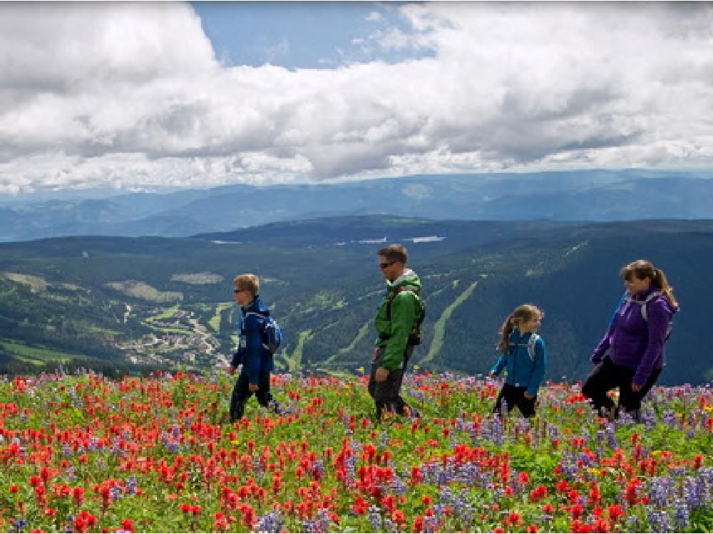 Travel notes: Hike in the alpine, Hawaii bound, horseback riding in the ...