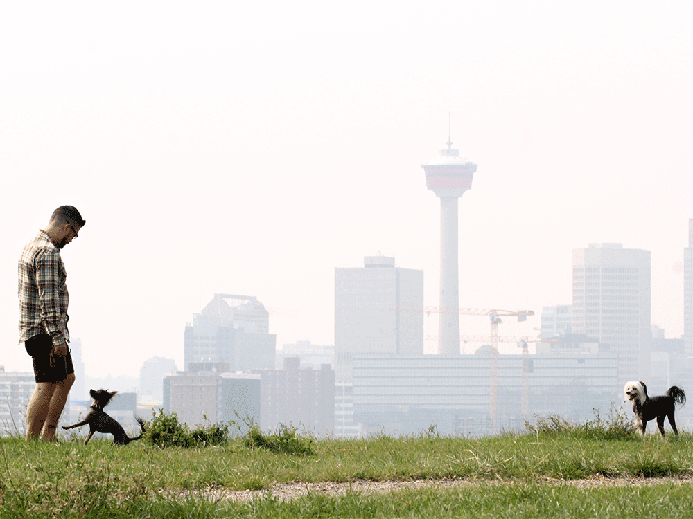 Take a deep breath: Calgary's air quality improves to low risk ...