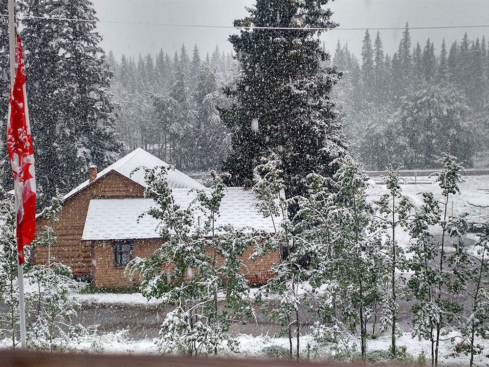 Summer snowfall covers the ground in areas west of Calgary | Calgary Herald