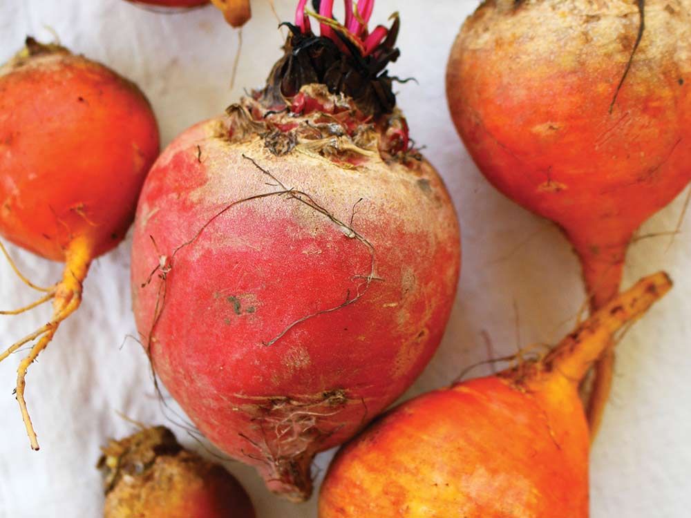 Recipe: Beets are best | Calgary Herald