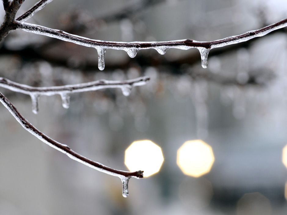 Calgary weather: Freezing drizzle over snow, for now | Calgary Herald