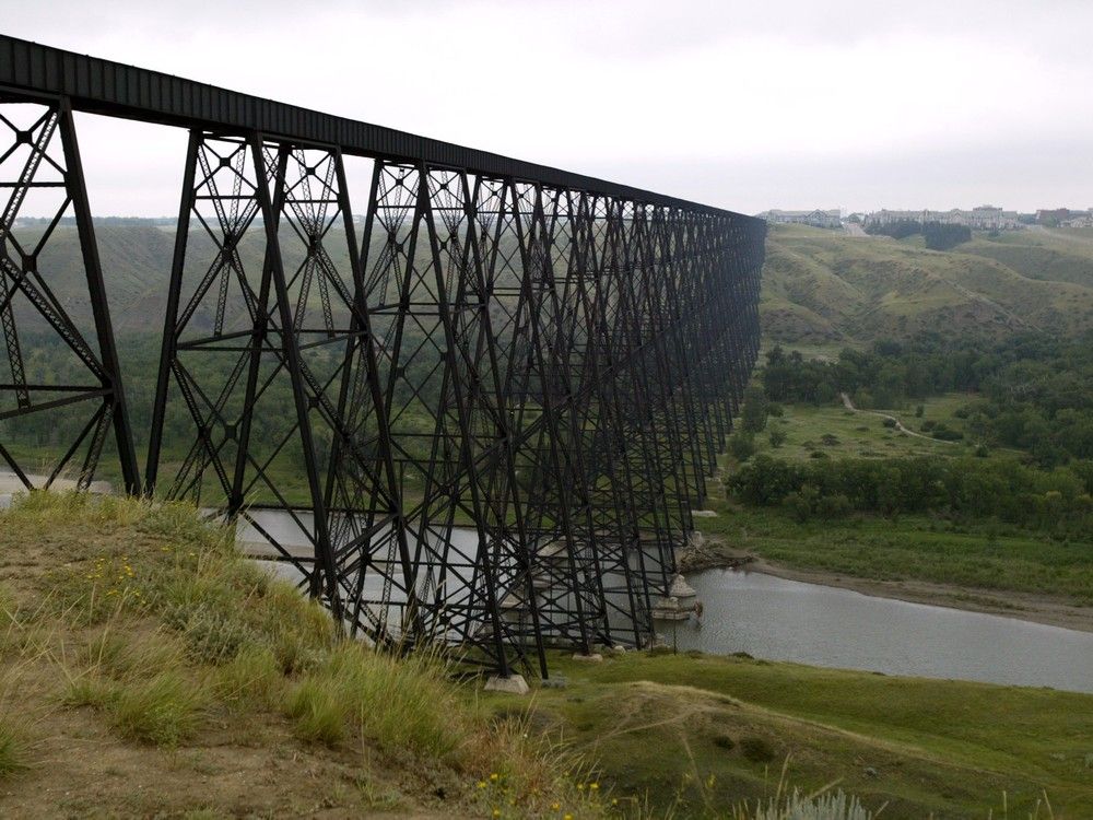 Signs of spring: 'The crocuses are blooming ... and the ticks are out ...