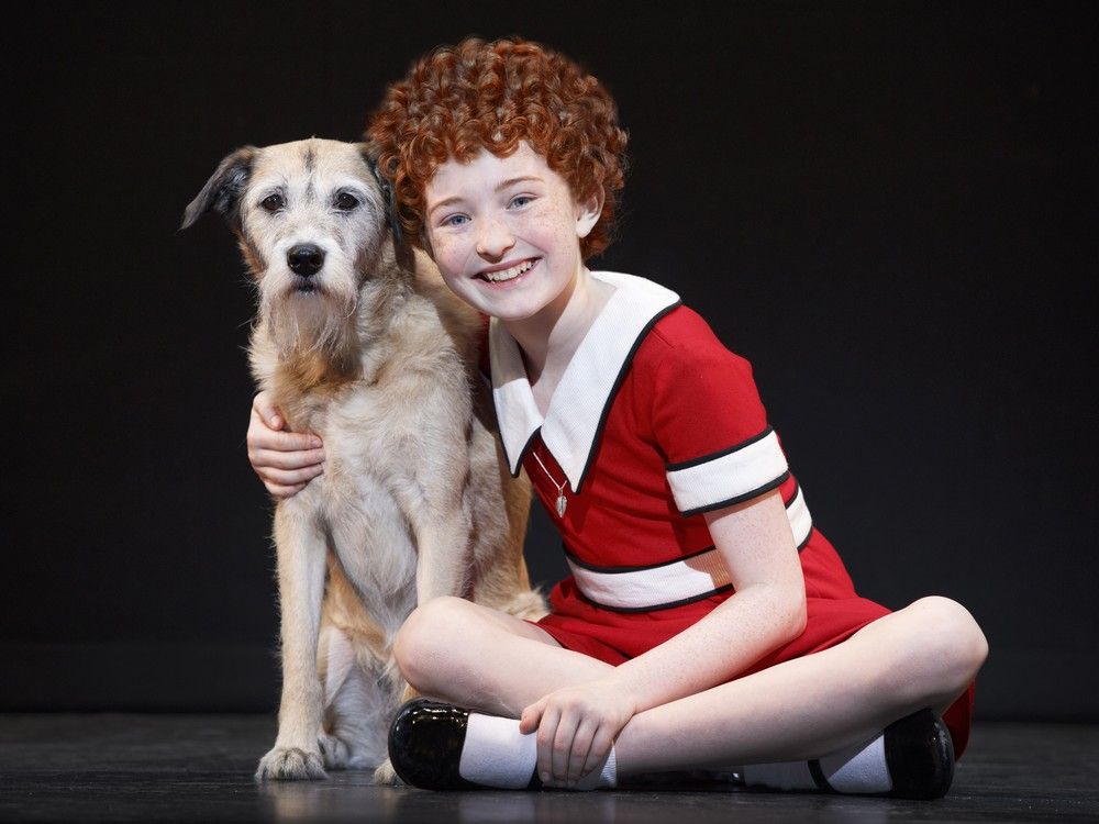 Dog trainer plays key role in Annie the Musical | Calgary Herald