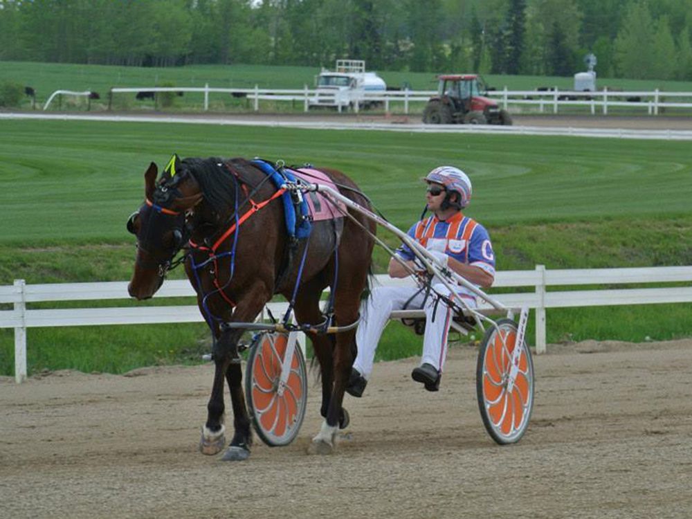'Really, really lucky': Harness racer shaken but uninjured after crash ...