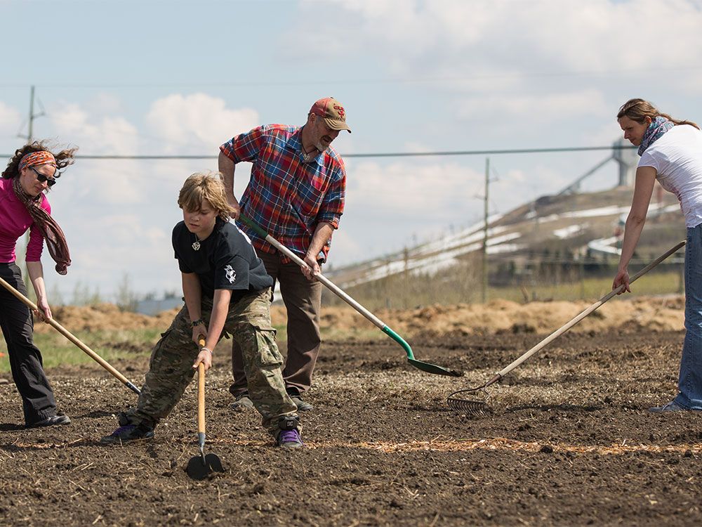 Urban farm Grow Calgary celebrates third year as demand soars | Calgary ...