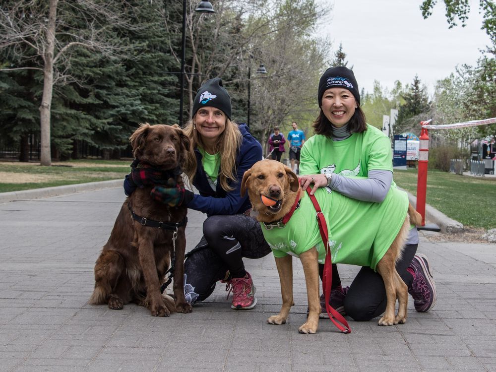 Dog-running service picks up the pace for owners and fur babies ...